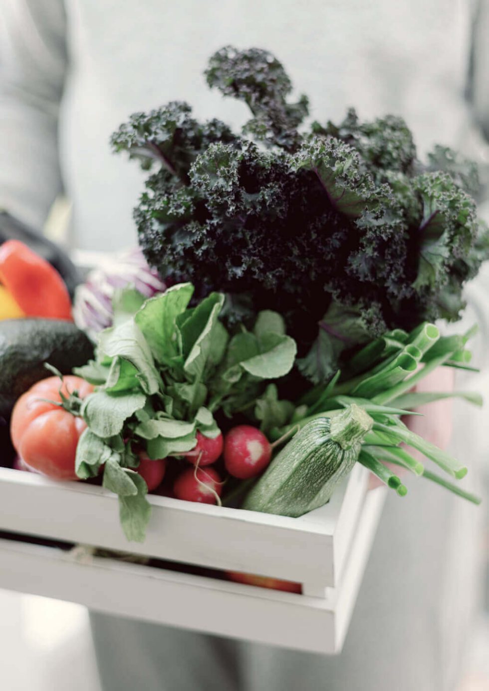 Imifino Exports | Fresh and Famous, Vegetables and Fruits Exports